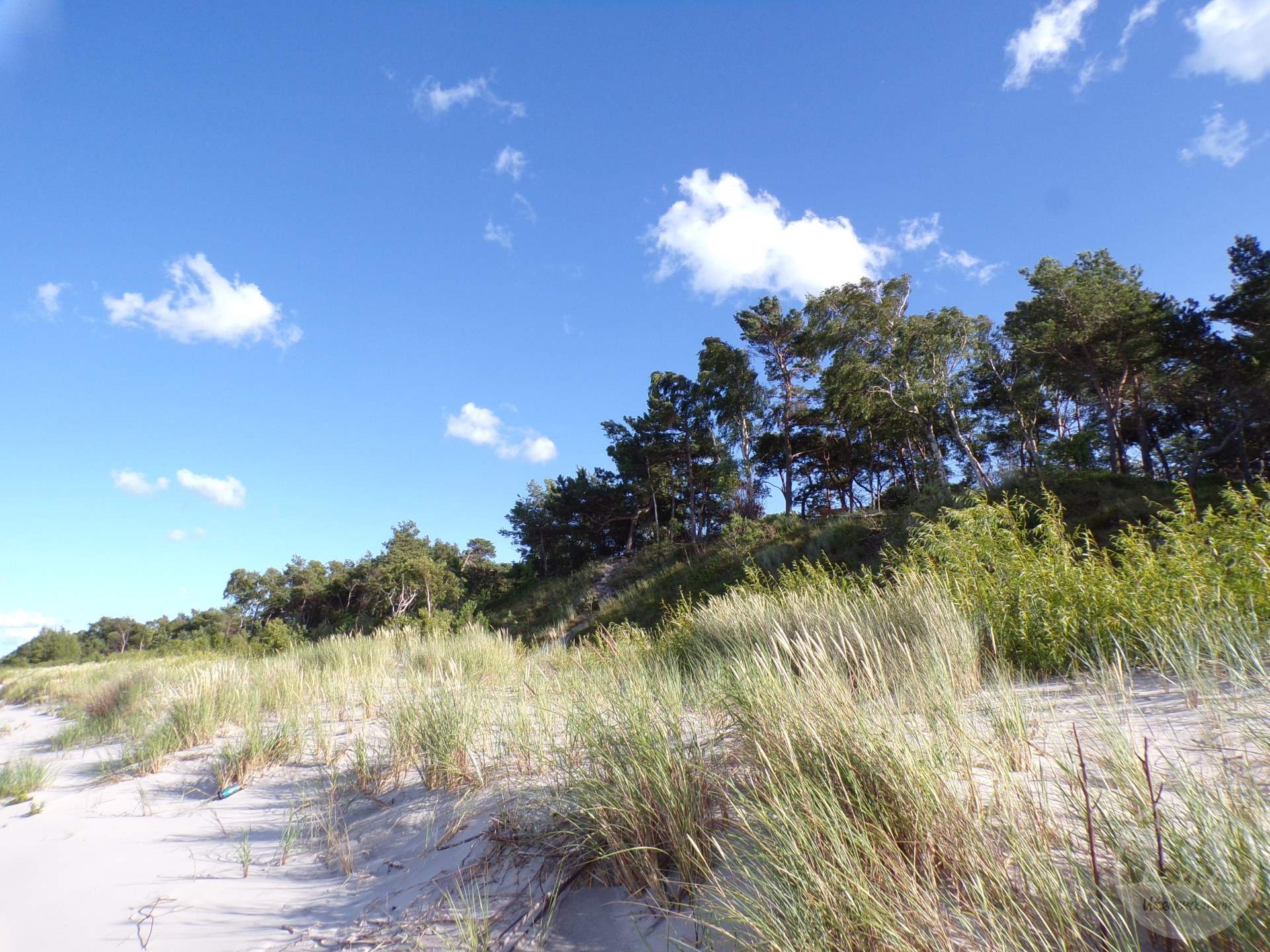 Góra Libek (Kuźnica) | Weekendownik